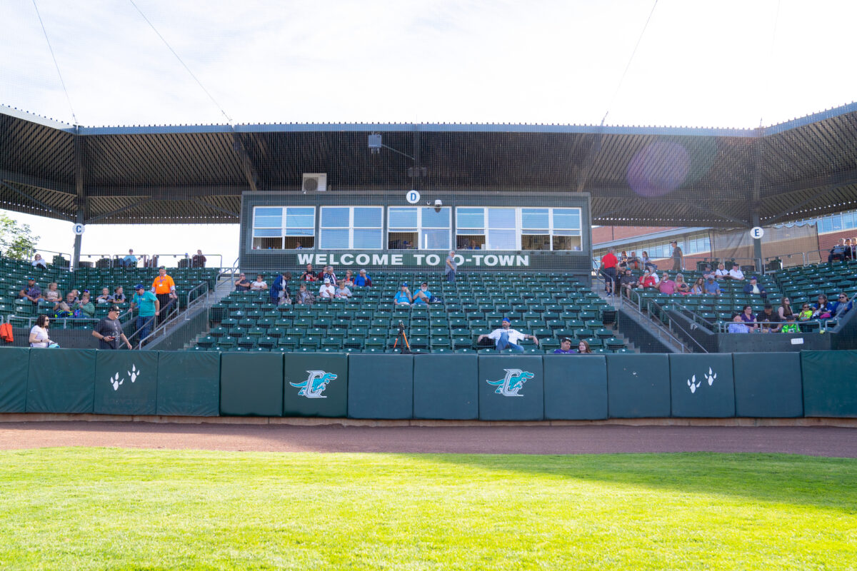 Idaho Falls righty Silva throws complete-game 2-hitter to blank Ogden ...